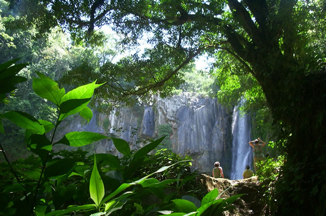 ¿Vacaciones verdes? - El Magazine del Viajero